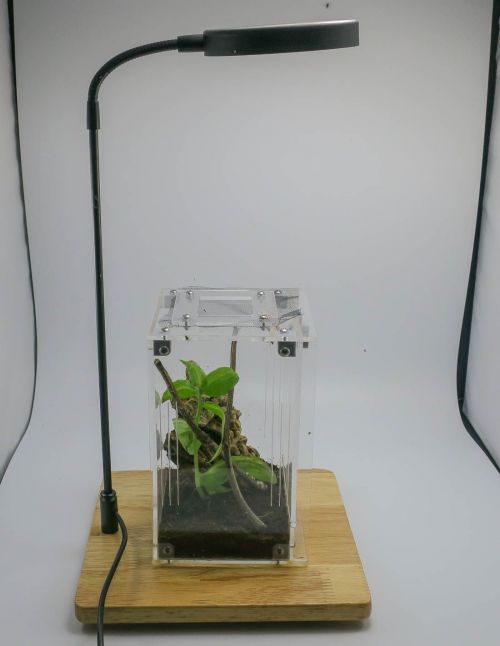 Éclairage LED avec support en bois Éclairage LED support 17x18x25cm